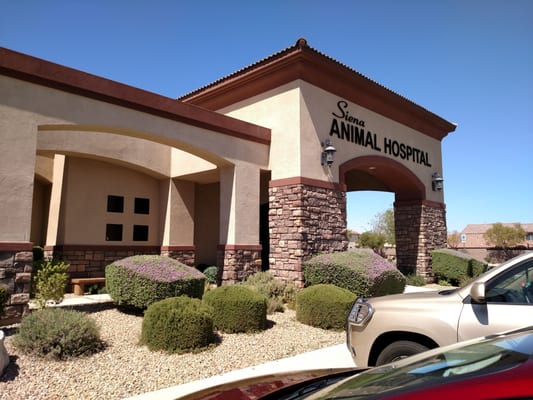 SIENA ANIMAL HOSPITAL - 31 Photos & 72 Reviews - 5625 S Grand Canyon Dr ...