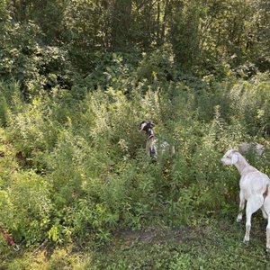 SALISBURY FARM - Updated October 2025 - 100 Photos & 36 Reviews - 11 ...