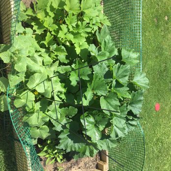 LEONBERG - Updated October 2025 - 18 Photos - 810 N Lenola Rd ...