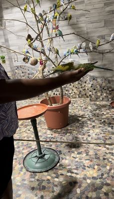 BLUE ZOO - Updated January 2026 - 149 Photos & 31 Reviews - 6401 ...