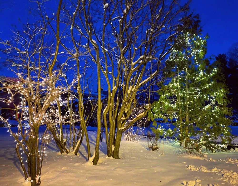 DELAWARE PARK - Updated December 2024 - 146 Photos & 66 Reviews - 84 ...