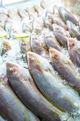 OCEAN2FISH SEAFOOD MARKET - Updated December 2025 - 55 Photos - 11780 ...