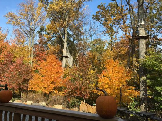 THE ADVENTURE PARK AT THE DISCOVERY MUSEUM - Updated December 2025 - 58 ...