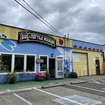 BUG & REPTILE MUSEUM - Updated November 2025 - 71 Photos & 43 Reviews ...