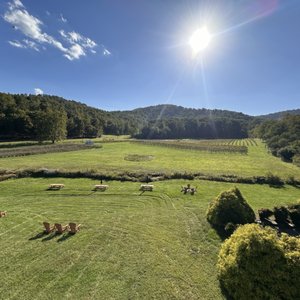 CARDINAL POINT VINEYARD & WINERY - Updated December 2025 - 79 Photos ...