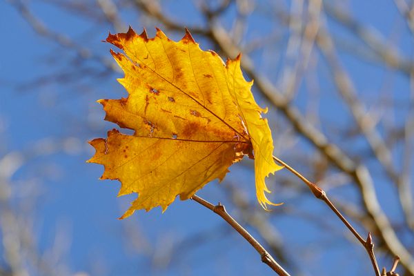 SPRUCE RUN RECREATION AREA - Updated November 2024 - 70 Photos & 28 ...