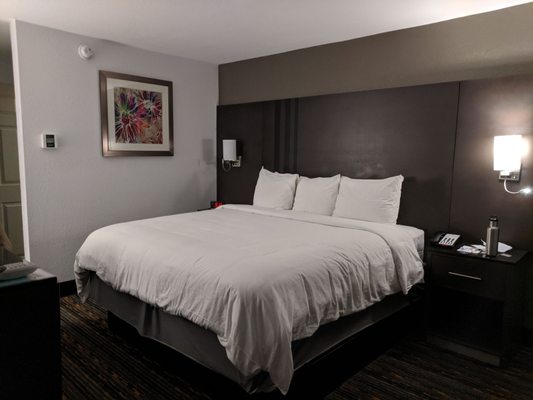 RADISSON HOTEL OAKLAND AIRPORT - 185 Photos & 191 Reviews - 8400 Edes ...