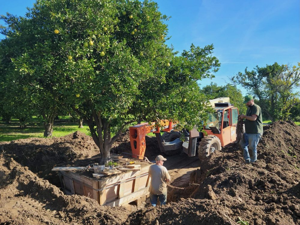 VICTOR LANDSCAPING - Updated May 2025 - Request a Quote - St Helena ...