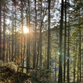 Poo Poo Point - Chirico Trail - 366 Photos & 138 Reviews - Hiking ...