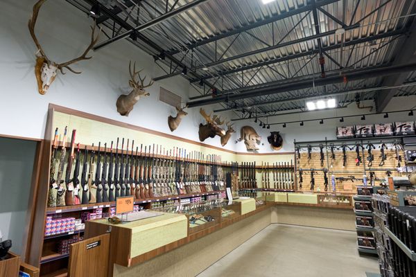 SAIL - Updated January 2026 - 62 Photos & 10 Reviews - 175, Trainyards ...