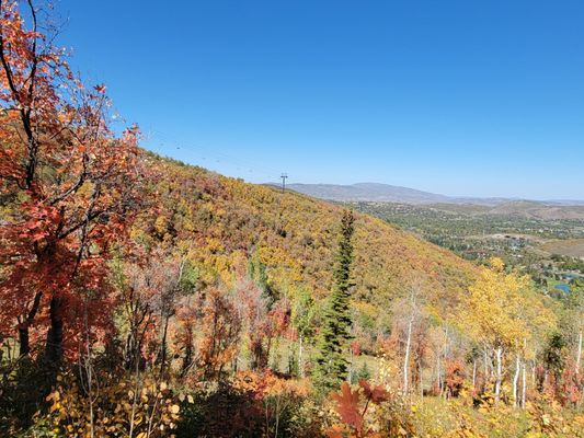 ARMSTRONG TRAIL - 25 Photos - 1825 Three Kings Dr, Park City, UT - Yelp