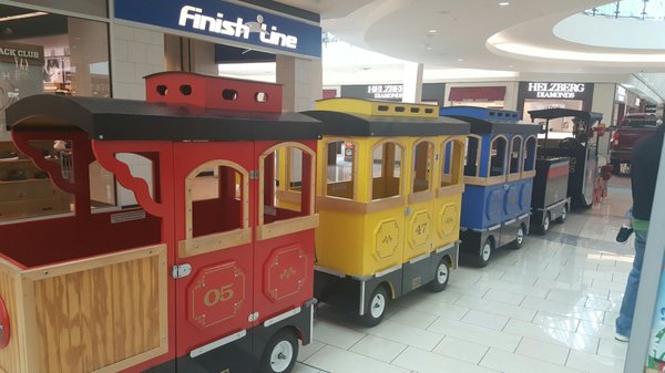 LADYBUG EXPRESS - Updated April 2025 - 2611 Preston Rd, Frisco, Texas ...