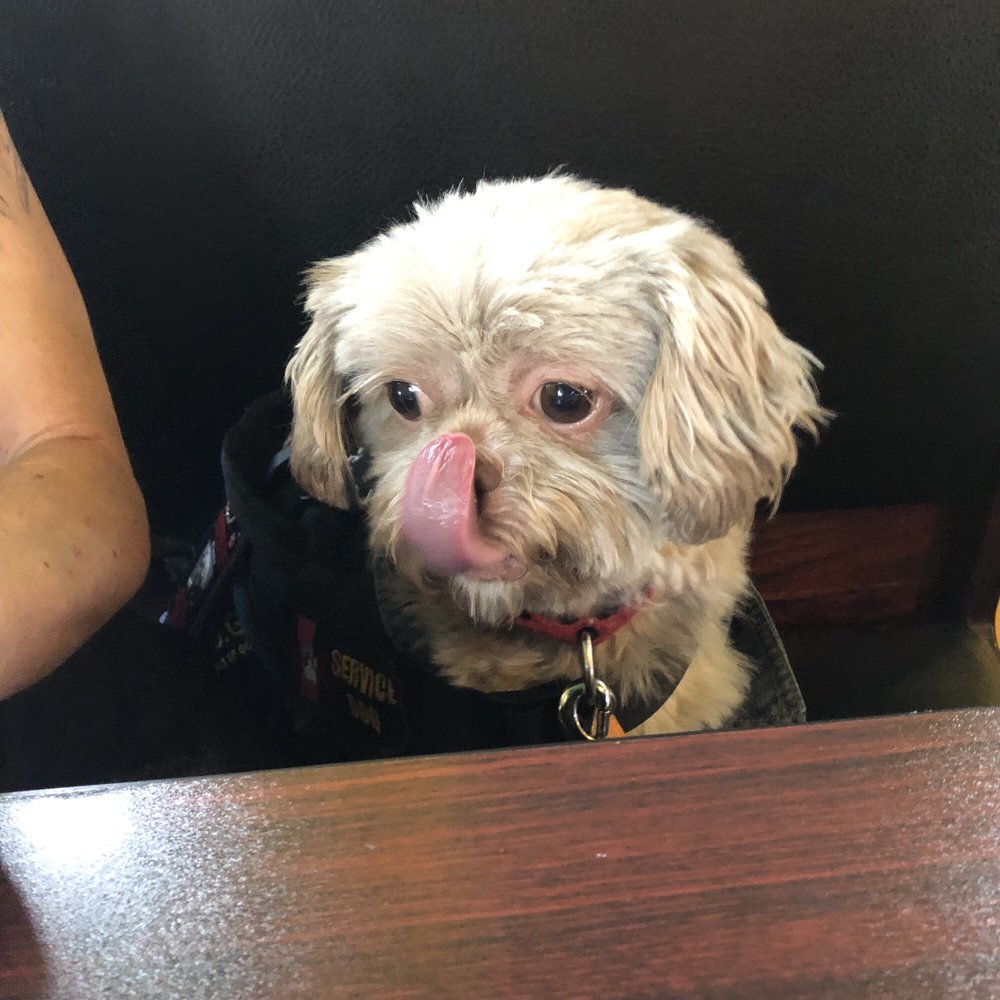 THE PIZZA BOX & HOAGIE SHOP - 14 Photos & 44 Reviews - Pizza - 4328 N ...