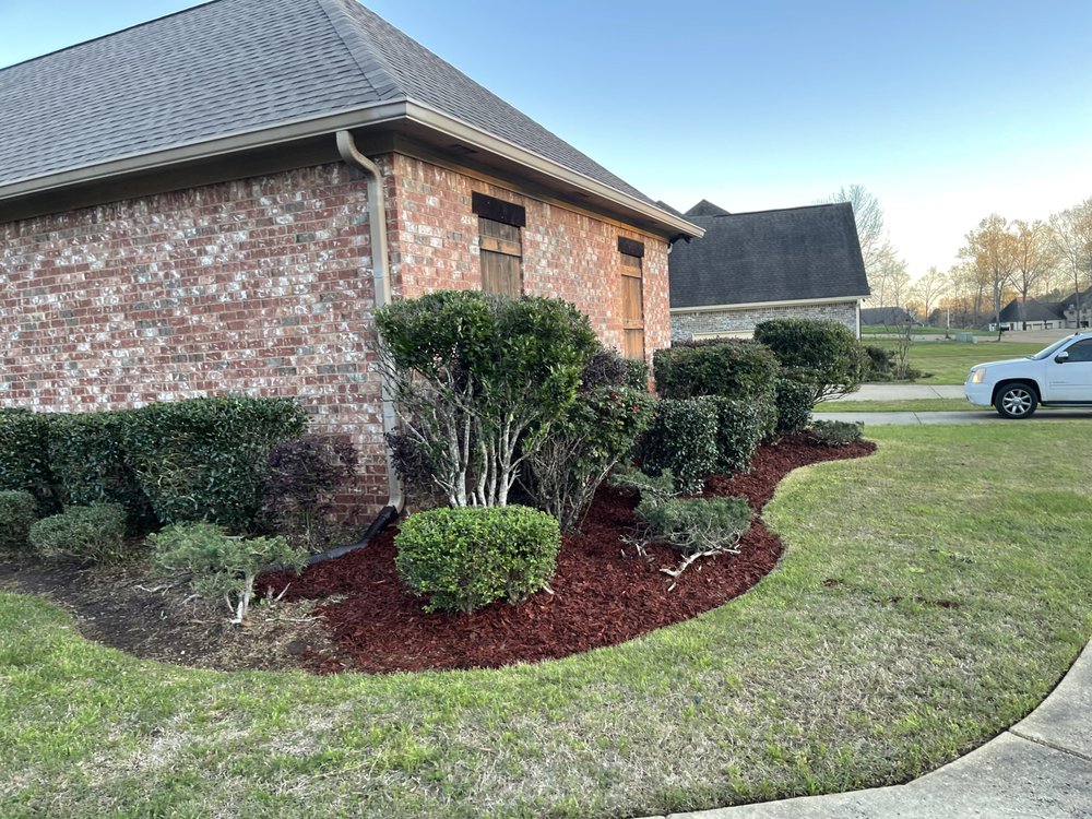 WILSONS LANDSCAPING - Updated June 2025 - Jackson, Mississippi ...