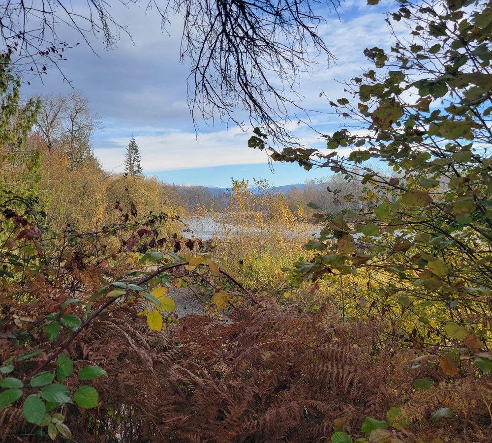 AL BORLIN PARK - Updated August 2025 - 27 Photos & 11 Reviews - 615 ...