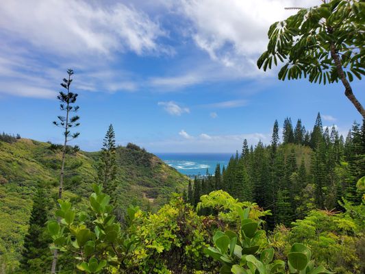 HAU’ULA LOOP TRAIL - 126 Photos & 20 Reviews - 54-55 Maakua Rd, Hauula ...