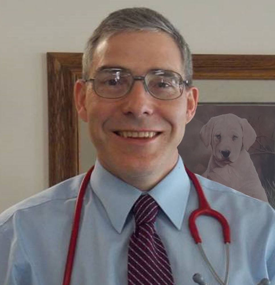 COUNTRY VILLAGE PET CARE HOSPITAL PC - Updated December 2025 - 31 ...