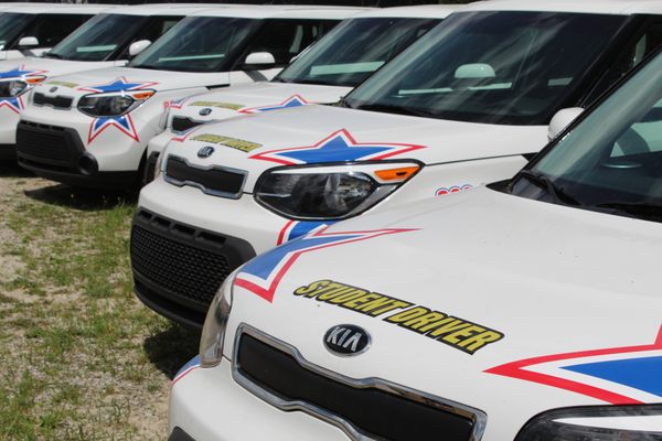 ALL STAR DRIVER EDUCATION - Updated January 2026 - 33 Photos & 230 ...