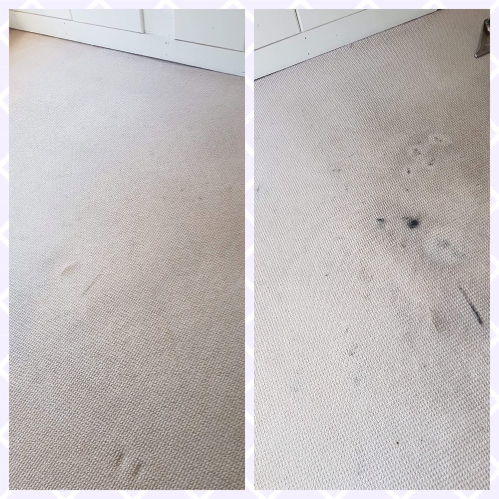 GLEAMERS - Request a Quote - 40 Photos - 100 Gainsborough Road ...