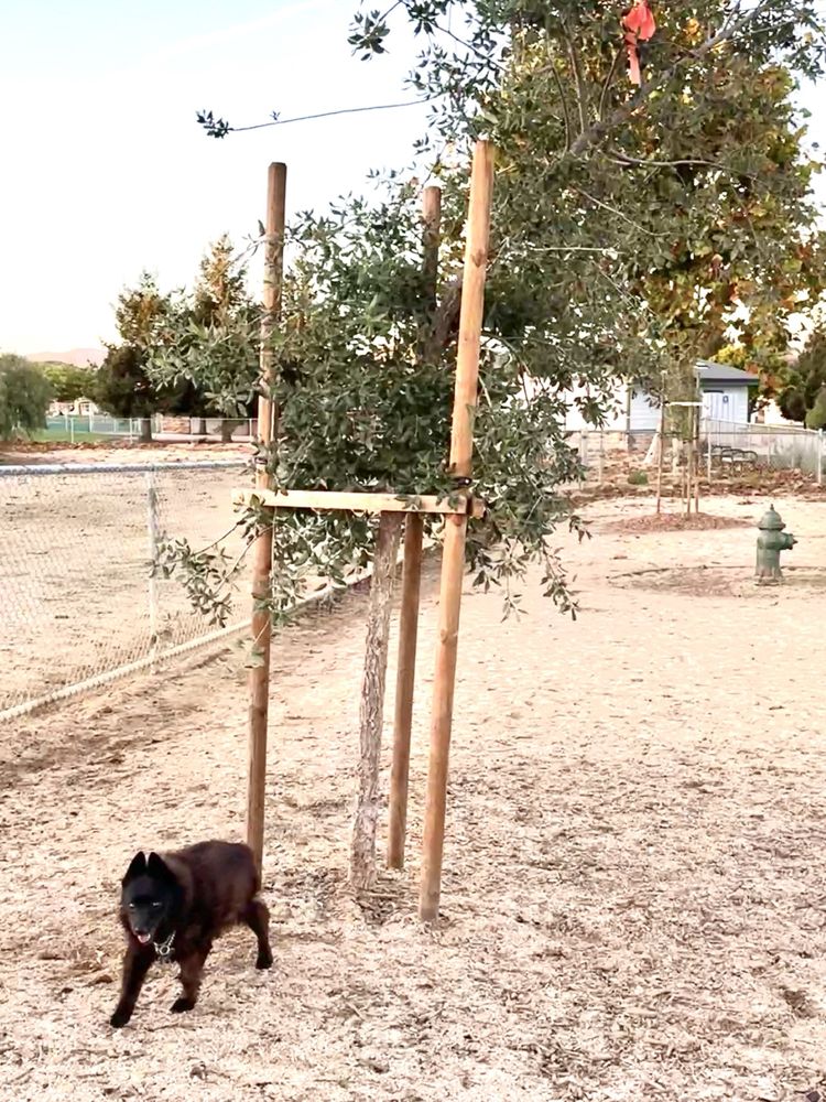 FRANICH DOG PARK - Updated September 2025 - 28 Photos & 12 Reviews ...