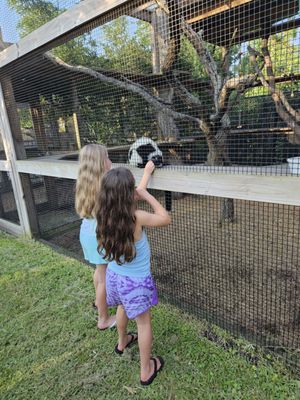 XTREME EXOTICS WILDLIFE FOUNDATION - Updated October 2024 - 32 Photos ...