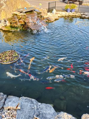 WHISPERING HILLS RV PARK - Updated December 2025 - 66 Photos & 57 ...