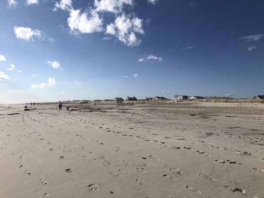 ATLANTIC BEACH CLUB - Updated December 2025 - 15 Photos - 1393 Beech St ...