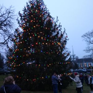 COMSEWOGUE PUBLIC LIBRARY - Updated October 2025 - 16 Photos & 10 ...