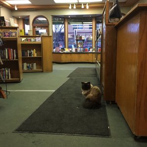 WEE BOOK INN - 27 Photos & 44 Reviews - 10310 82 Avenue, Edmonton ...