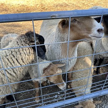 SILVERMAN’S FARM - Updated September 2025 - 187 Photos & 139 Reviews ...