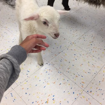 ADA COMMUNITY LIBRARY - Updated June 2025 - 10664 West Victory Rd ...