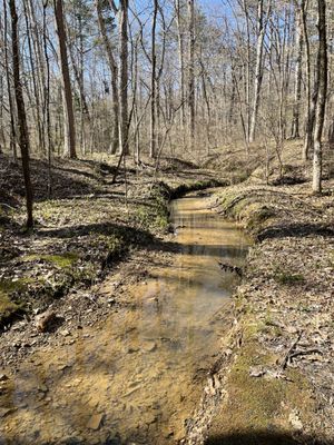 TISHOMINGO STATE PARK - Updated May 2026 - 88 Photos & 26 Reviews - 105 ...