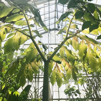 UC BOTANICAL GARDEN AT BERKELEY - Updated May 2024 - 1417 Photos & 326 ...