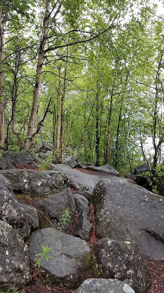 RAVINE LAKE - 14 Photos - Bonnie Lakes Rd, Chickaloon, Alaska - Fishing ...