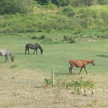 RUSTY BAR RANCH - Updated December 2025 - 29 Photos & 10 Reviews ...