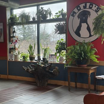 MOJO’S - Updated December 2025 - 51 Photos & 30 Reviews - 1001 Day Hill ...