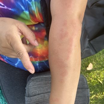 CAMP WILLIAMS RESORT - Updated January 2026 - 185 Photos & 71 Reviews ...