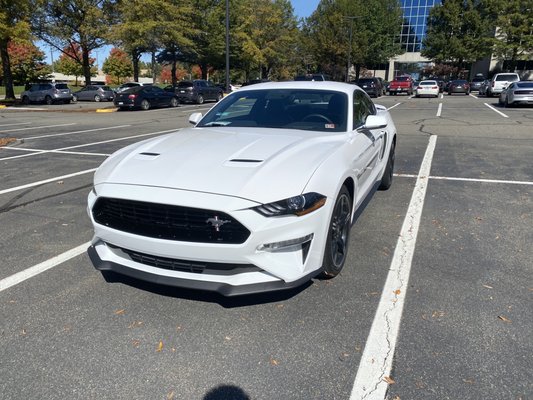 TED BRITT CHANTILLY FORD - Updated September 2024 - 36 Photos & 231 ...