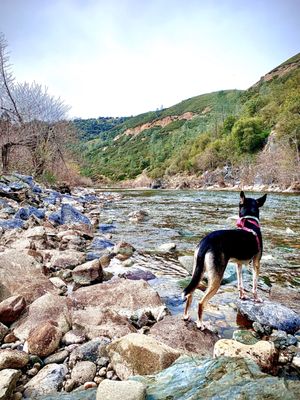 AUBURN STATE RECREATION AREA - 445 Photos & 73 Reviews - 501 El Dorado ...