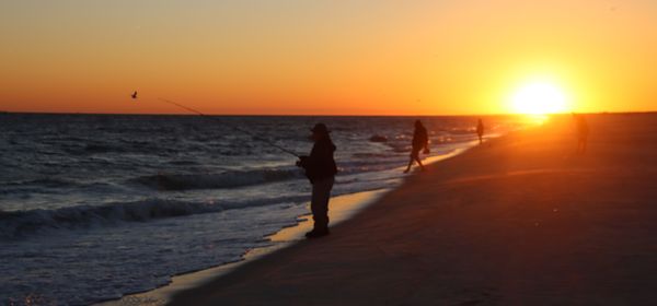 FIELD 6 JONES BEACH - Updated September 2025 - 383 Photos & 38 Reviews ...