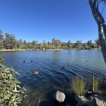 VASONA LAKE COUNTY PARK - Updated March 2025 - 1285 Photos & 438 ...