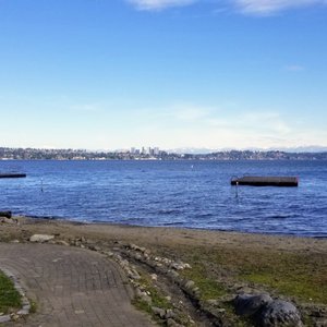 MADRONA PARK - 67 Photos & 29 Reviews - 853 Lake Washington Blvd ...