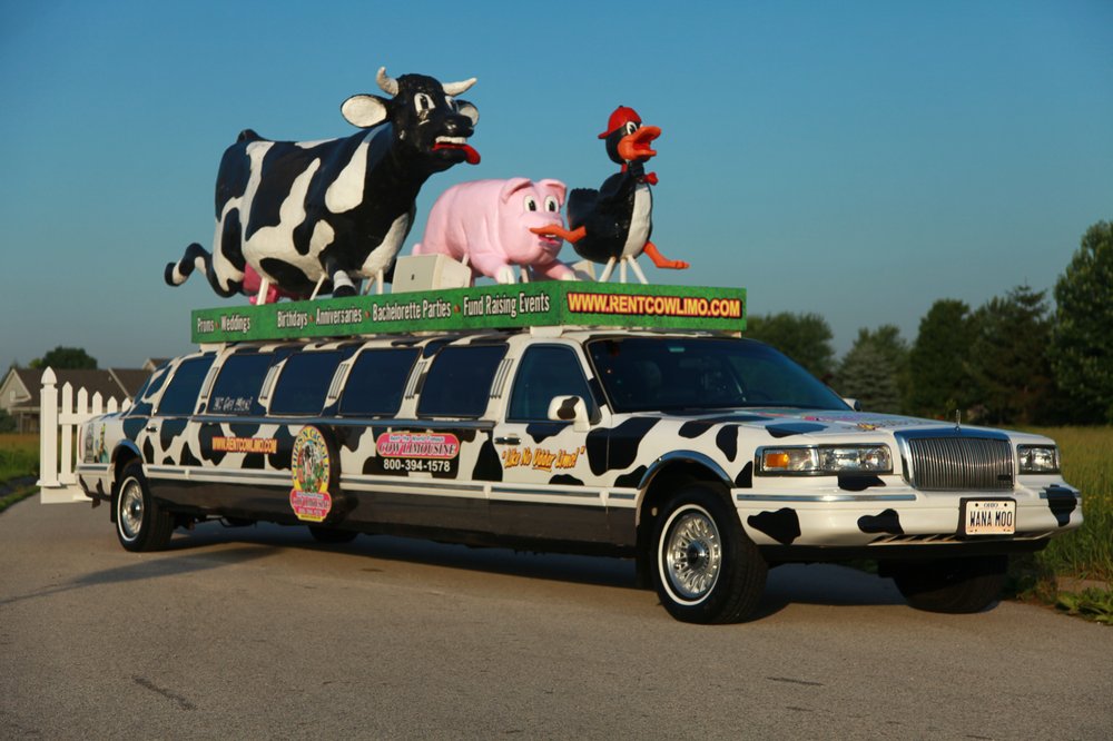 CHIPS’N GIGGLES WORLD FAMOUS COW LIMOUSINE - Updated July 2025 - Crown ...