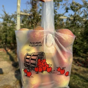 TERHUNE ORCHARDS - Updated October 2025 - 644 Photos & 400 Reviews ...