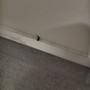 CORNER PROPERTY MANAGEMENT - Updated August 2024 - 24 Reviews - 11 ...