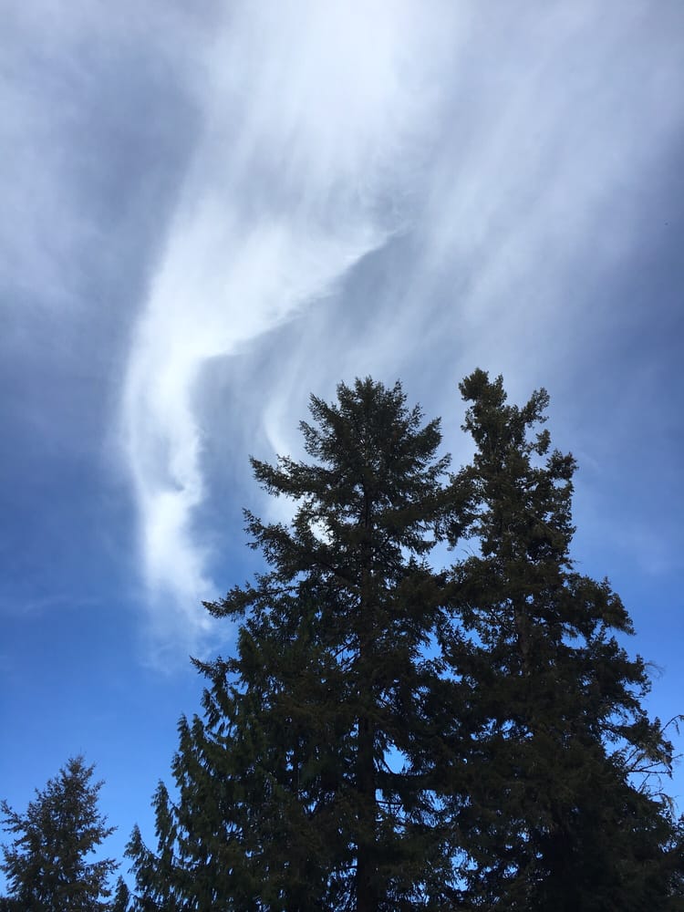 WILDCAT LAKE - Updated October 2025 - 9245 Holly Rd NW, Bremerton ...