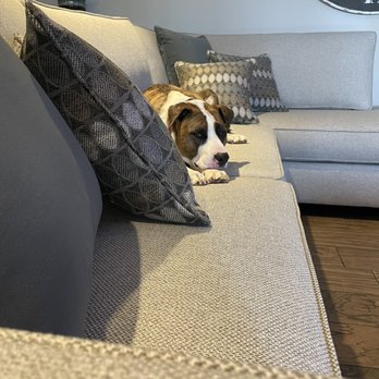 THE SOFA SHOP - YORBA LINDA - Updated June 2025 - 51 Photos & 34 ...