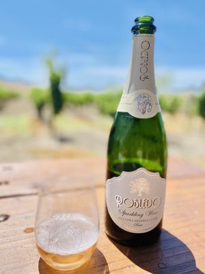 ROBLEDO FAMILY WINERY - Updated May 2024 - 341 Photos & 261 Reviews ...