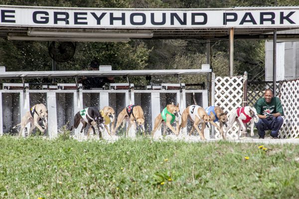 MOBILE GREYHOUND PARK - Updated January 2026 - 12 Photos - 7101 Old ...