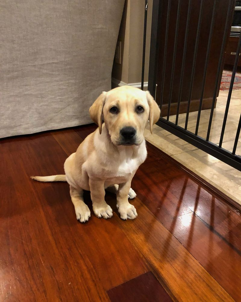 TOP TAILS - Updated July 2025 - 87 Photos & 61 Reviews - Philadelphia ...